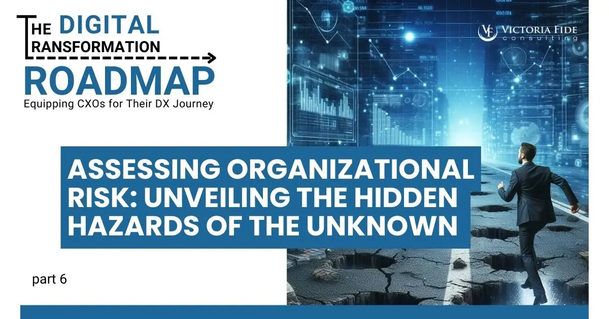 Assessing Organizational Risk | Victoria Fide