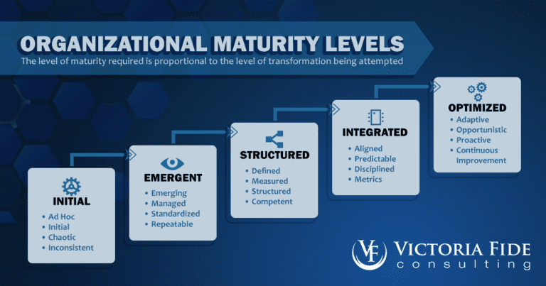 The Importance of Organizational Maturity for Digital Transformation ...