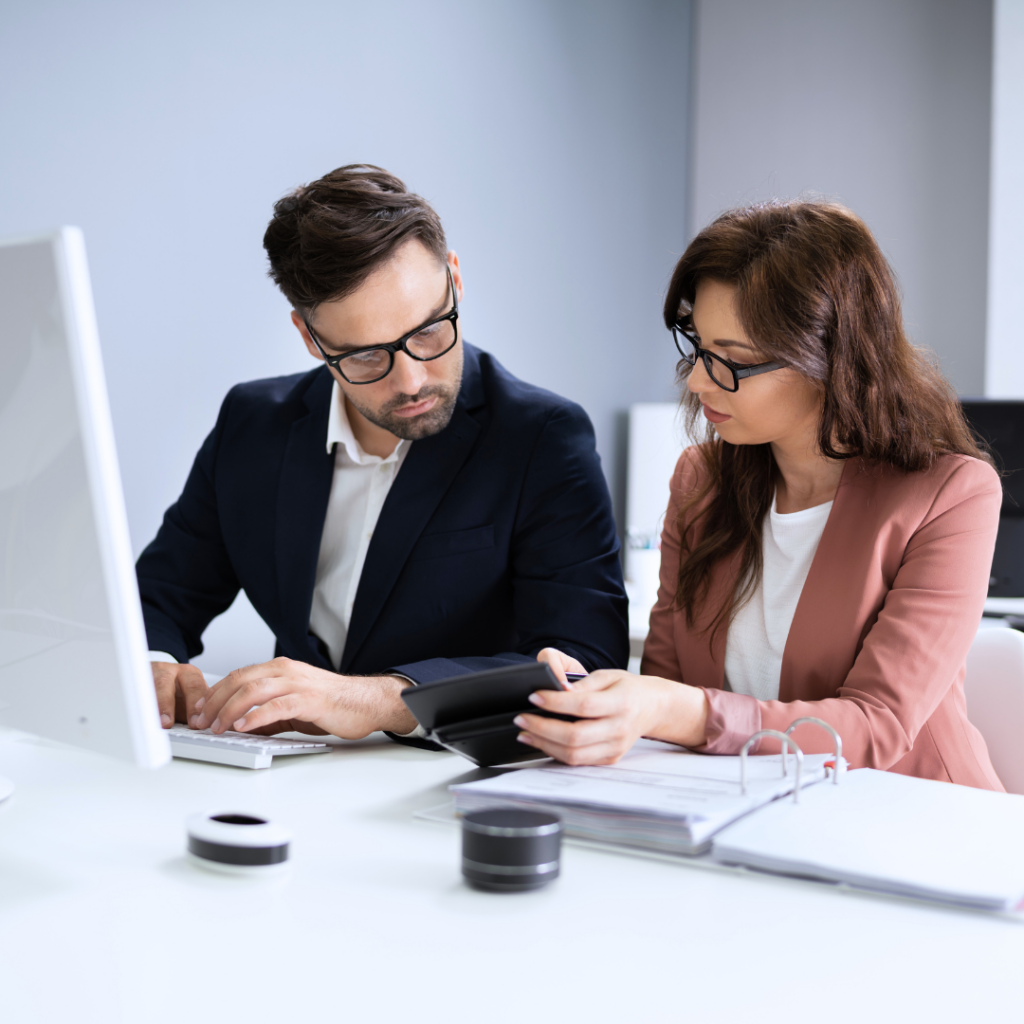 ERP Implementation Recovery | Victoria Fide Consulting