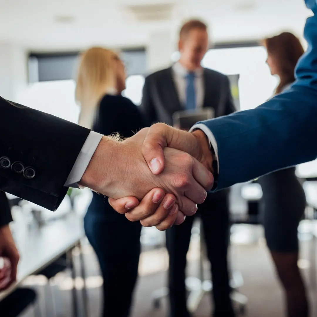Steering Committee Training | Victoria Fide Consulting